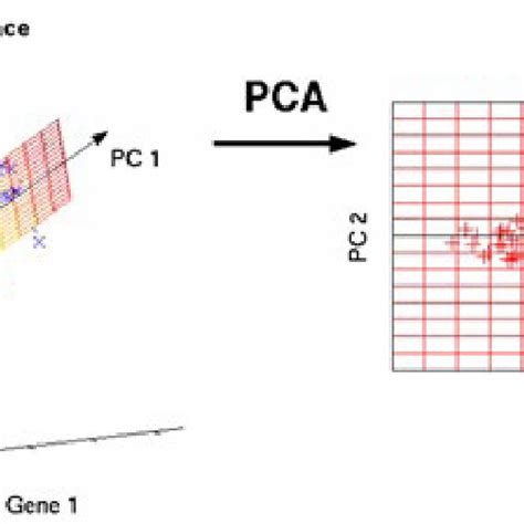 Reduce Data Dimensions Using The Basic Component Analysis Method