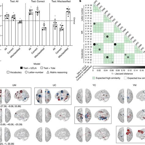 Misclassification Is Consistent And Phenotype Specific A Histogram Of Download Scientific