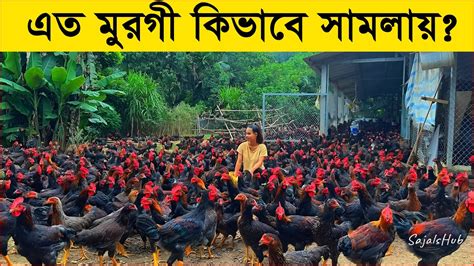 লাখ লাখ মুরগি খোলামেলা এত বড় ফার্ম চলে কীভাবে Freerange Chicken Farm Youtube