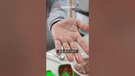 손에 물 안 묻히고 상추 쌈 먹는 법 Youtube