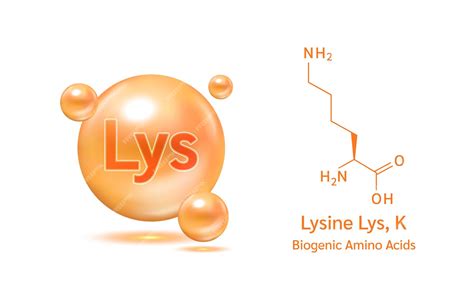 Premium Vector Important Amino Acid Lysine Lys And Structural