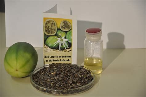 Maracujá BRS Pérola do Cerrado BRS PC Portal Embrapa