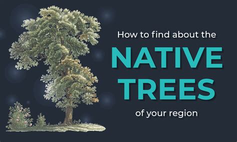 How To Find About The Native Trees Of Your Region