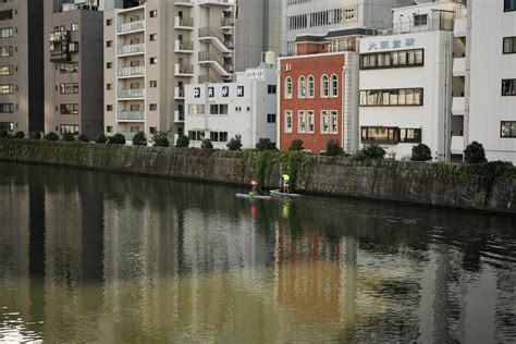 XE043043 Naoki Miyata Flickr
