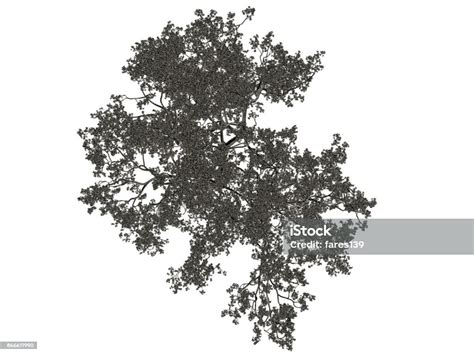 실버 트리 흰색 배경에 고립의 3d 렌더링 강철에 대한 스톡 사진 및 기타 이미지 강철 금속 금속의 Istock