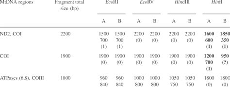 Restriction Fragment Sizes And Number Of Restriction Sites In Download Table