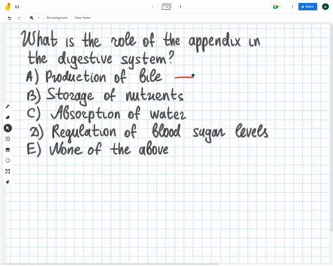 14 What Is The Role Of The Appendix In The Digestive System A