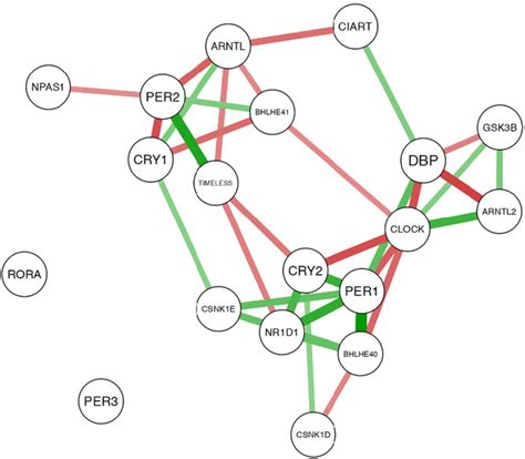 Correlation Network Of Levels Of Expression Of Circadian Genes The Download Scientific Diagram