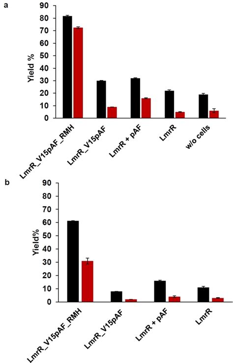 In Vivo Biocatalytic Cascades Featuring An Artificial‐enzyme‐catalysed
