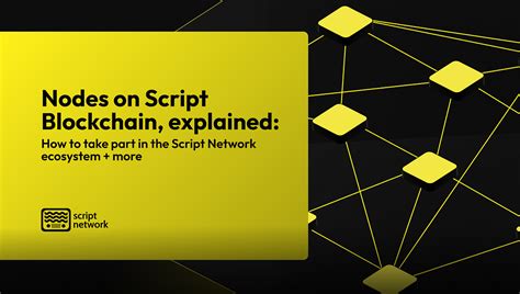 Script Network