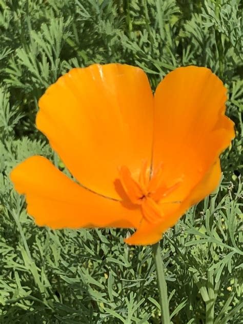ヒロです 😁 On Twitter おはようございます🌼🌸今日は朝から偏頭痛😣🌀少しマシになったかな😅今日は天気回復☀️気持ちの良い朝