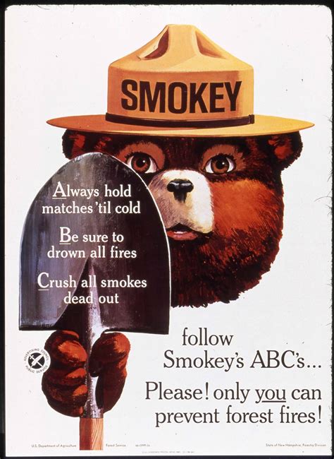 Smokey Bears 70th Birthday Photos Abc News