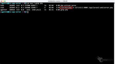 Php Openresty Xray Openresty