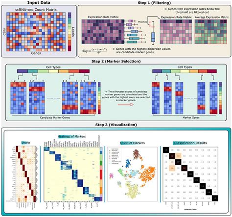 Association For Single Cell Analysis Asca On Linkedin Spatialomics