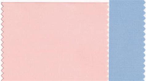 Blush Color Pantone