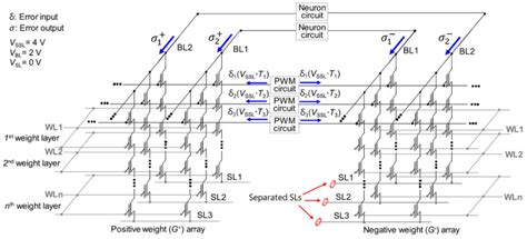 Flash Memory For Synaptic Plasticity In Neuromorphic Computing A
