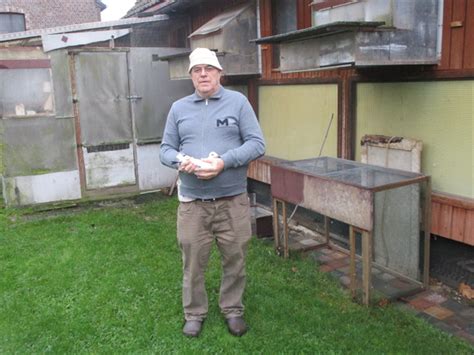 Louis Ghislain Hoeselt Een Jonge Duif 2024 Op Afspraak