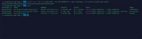 Load Balancing A Nodejs Application With Nginx