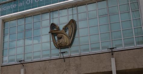 ¿cómo Cobrar Una Incapacidad Del Imss