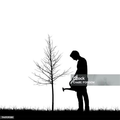 물을 가진 정원사 남자의 실루엣 현실적인 그림 잔디와 잎이 없는 젊은 나무 흰색 배경에 고립벡터 실루엣에 대한 스톡 벡터 아트 및 기타 이미지 Istock