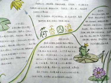 荷花手抄报 荷花手抄报内容 第 2 犀牛图片网