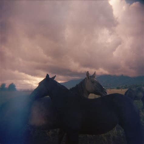 2024 Krappy Kamera Competition Winners Soho Photo Gallery