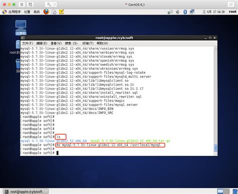 Linux 虚拟机详细安装MySQL 陈彦斌 博客园