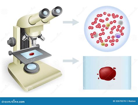 Analysis Under Microscope Line Icon Medical Tests Concept Laboratory