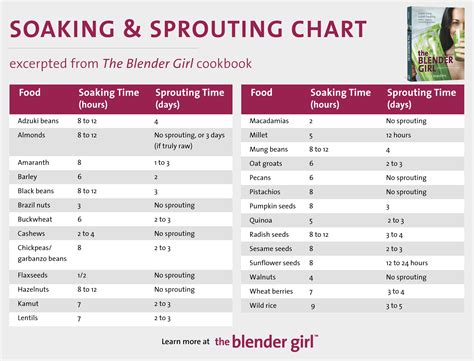 Soaking Nuts Seeds And Grains For Better Health The Blender Girl