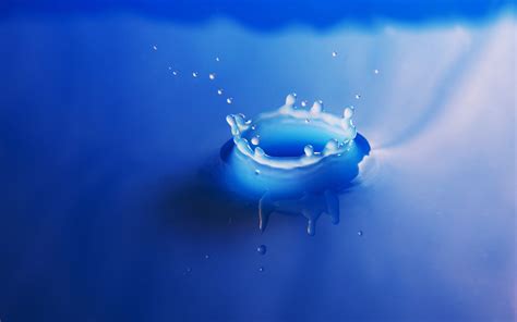 Splash Wallpaper High Definition High Quality Widescreen