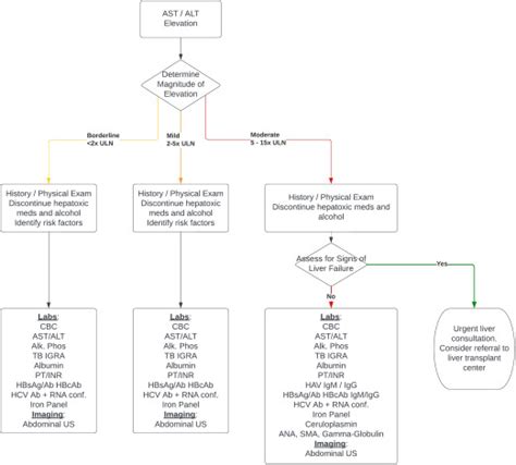Approach To Elevated Liver Enzymes Primary Care Clinics In Office