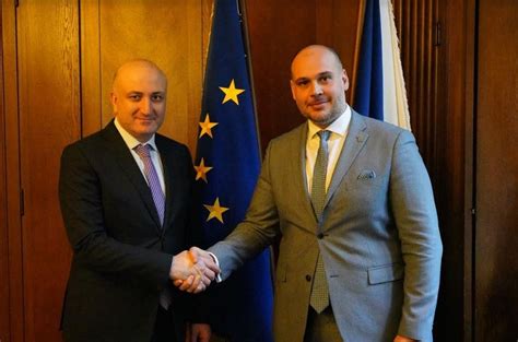 ჯანდაცვის სამინისტროს დელეგაცია ჩეხეთში ოფიციალურ შეხვედრებს განაგრძობს 1tv