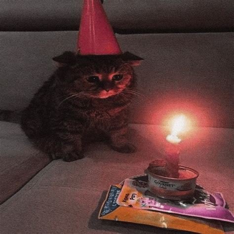 Sad Cat Birthday Cake