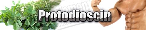 Protodioscin Review Tribulus Supplements Side Effects