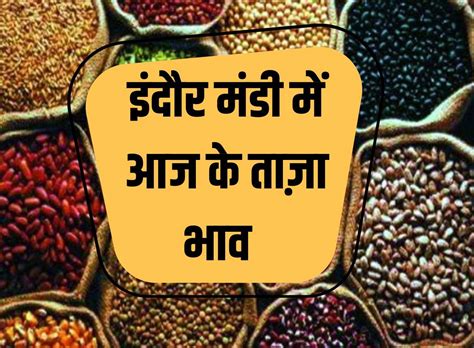 Indore Mandi Bhav तुअर व उड़द में तेजी प्याज लहसुन में भी उछाल जाने