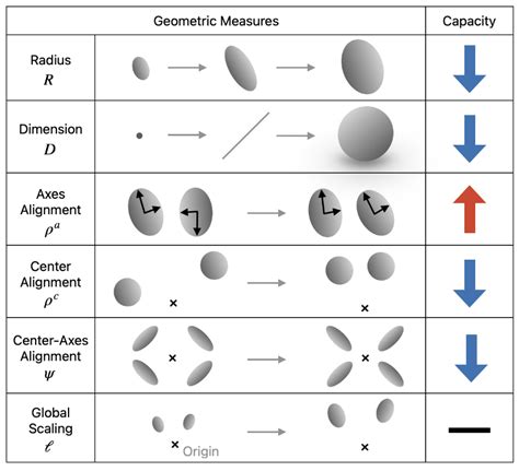 neuroai and geometry