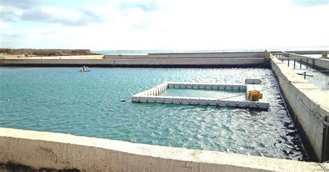 養殖業者冬季偏好嘉鱲魚抗寒魚類 澎湖時報 Line Today
