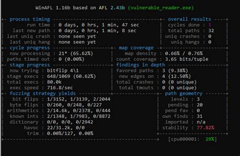 The Art Of Fuzzing Windows Binaries Bushido Security