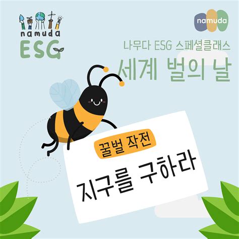 [esg] 세계 벌의 날 특별 클래스