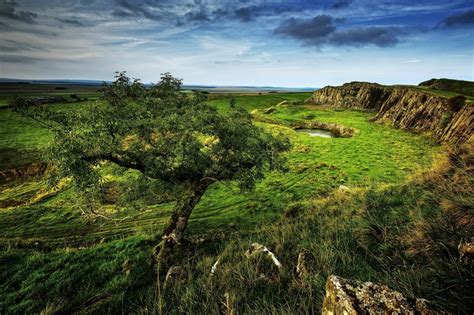 Green Nature Trees Landscape Hd Wallpaper