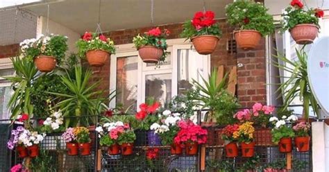 10 трика с които растенията ви вкъщи ще растат и цъфтят целогодишно За Жената