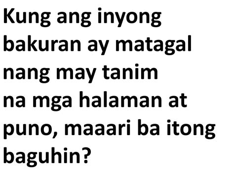Grade 4 E P P Quarter 3 Week 3 Wastong Pamamaraan Sa Paghahanda Ng