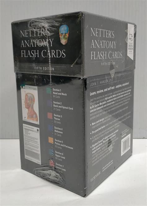 Lot A Netters Anatomy Flash Cards Marked F Netter