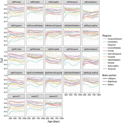 Pairwise Functional Correlations Between Different White Matter