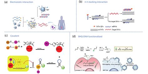 Biofunctionalized Semiconductor Quantum Dots For Virus Detection