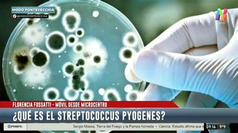 Streptococcus Pyogenes Qué Hay Que Tener En Cuenta Para Cuidarse De La