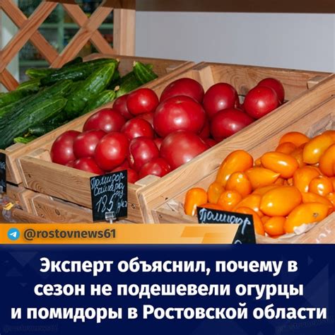 Лето время сбора урожая помидоров и огурцов Многие жители Ростовской