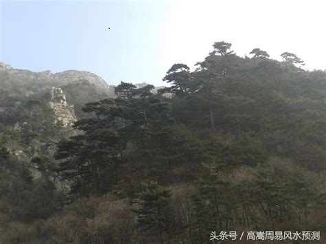 教你学八字预测术，基础知识之十神含义八字预测学入门