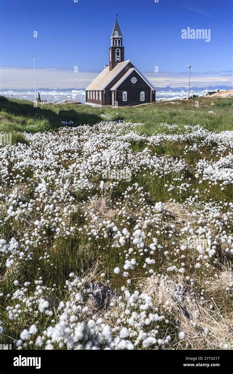 Church In Front Of Icebergs And Blue Sky Cotton Grass Summer Zions Church Jakobshavn