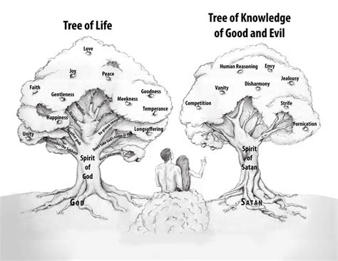 Tree Of Life Tree Of Knowledge Fountain Of Youth And Converted Divine Weapon Energies Course
